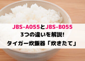 JBS-A055とJBS-B055の3つの違いを解説!タイガー炊飯器「炊きたて」 | 家電の新製品★新型旧型比較や口コミレビュー紹介！